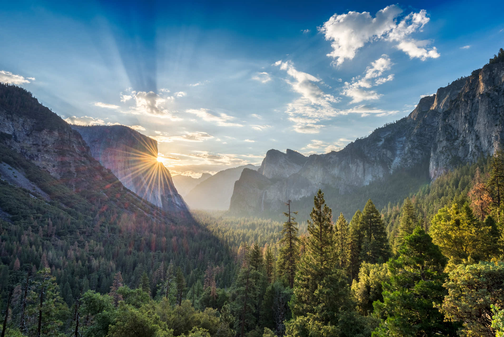 New Approach Could Help Solve One of Carbon Markets’ Biggest Problems - RMI