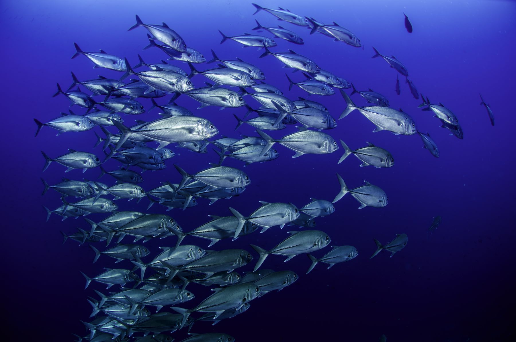 Climate-Aligned Finance 101: What Is It, and Why Should You Care? - RMI