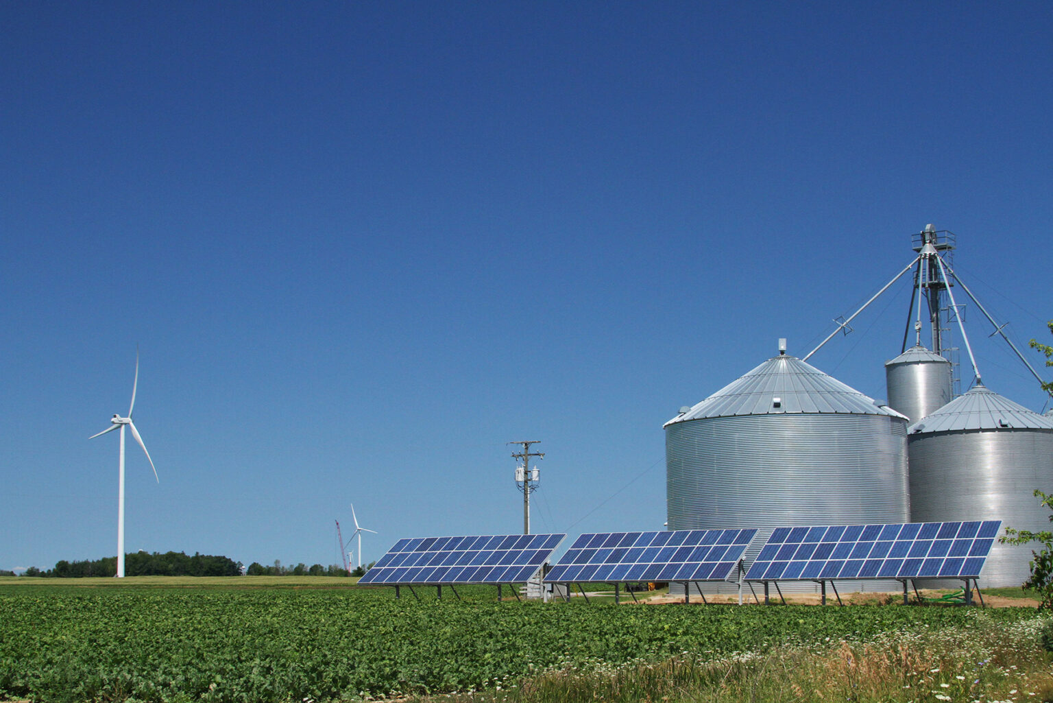 Webinar - Growing the Green Fertilizer Market - RMI