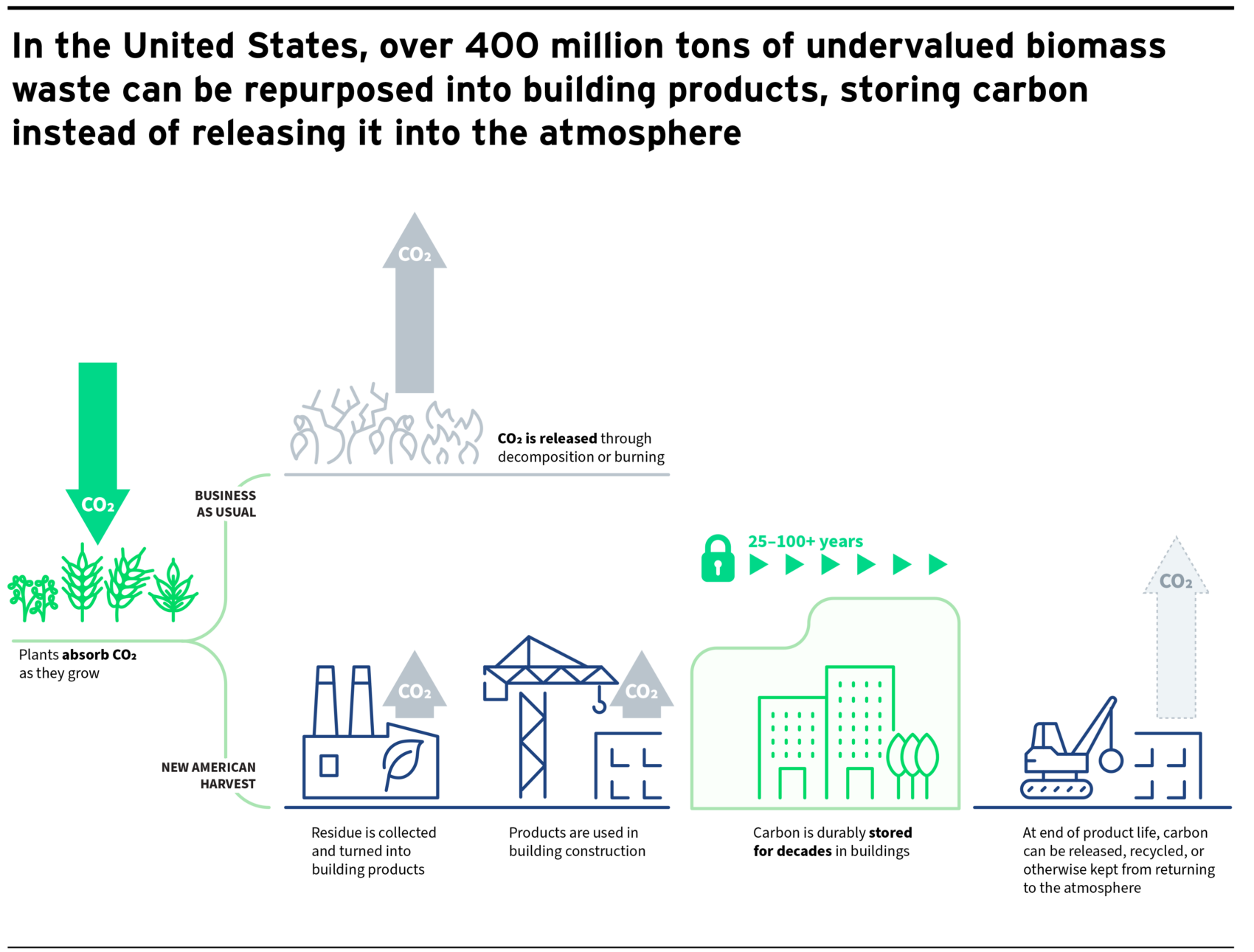 Building with Biomass 101: Turning Waste into Worth - RMI