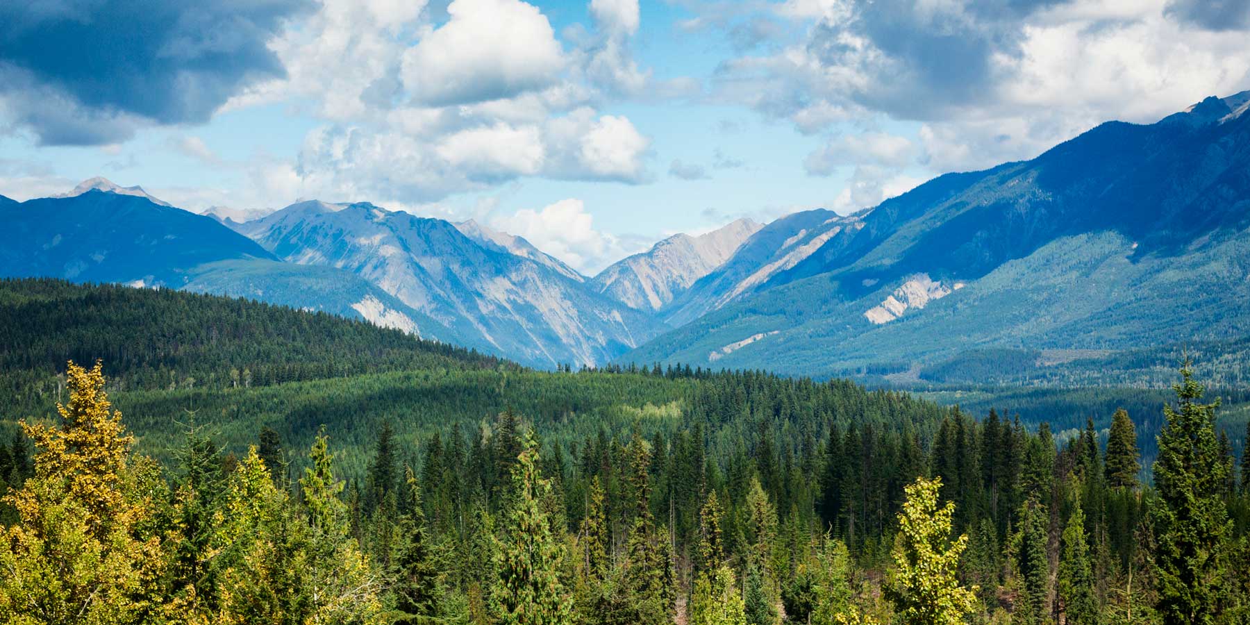 Creating Transition Intelligence - RMI